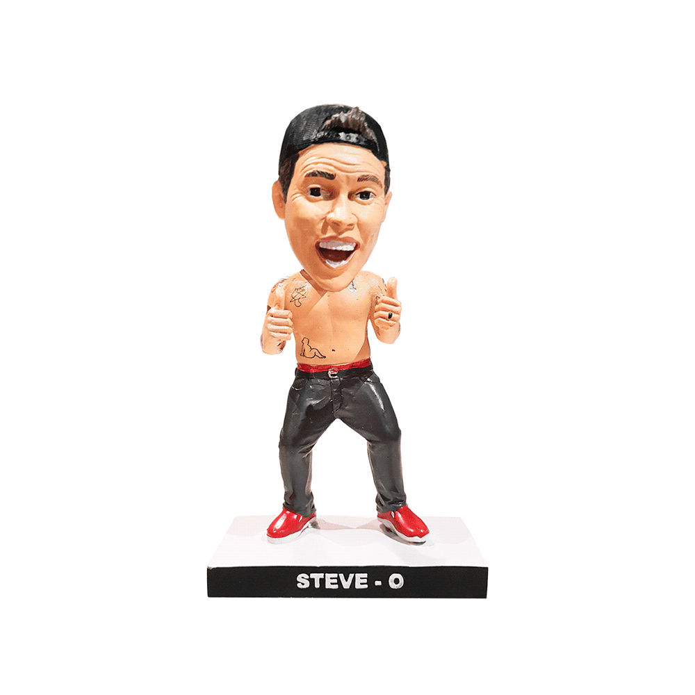 Steve O
